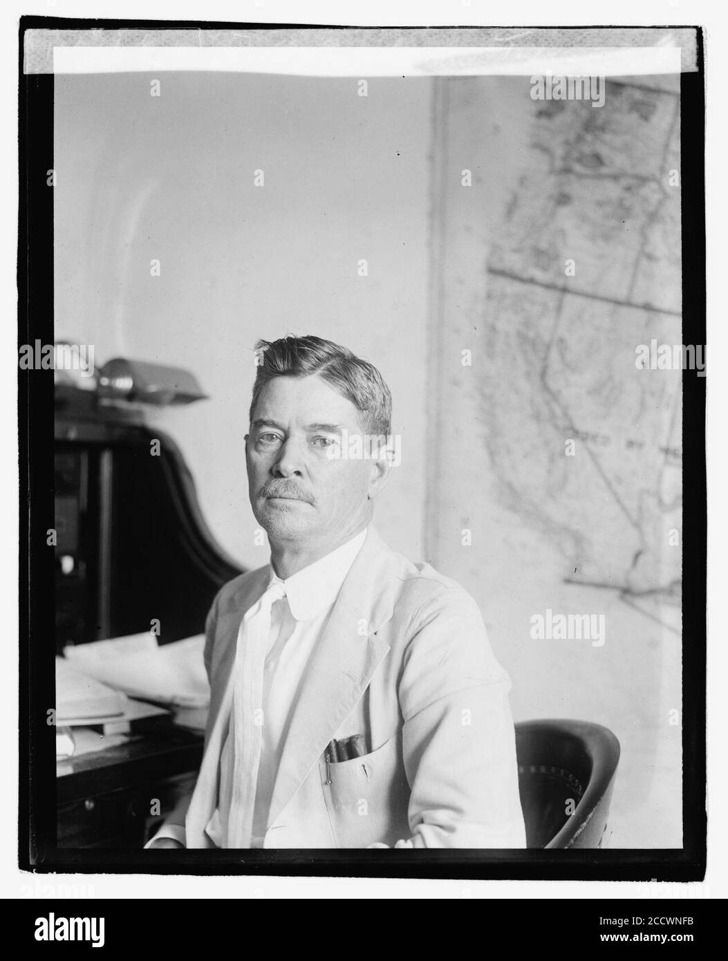 Texas tree Cut Out Stock Images & Pictures - Alamy