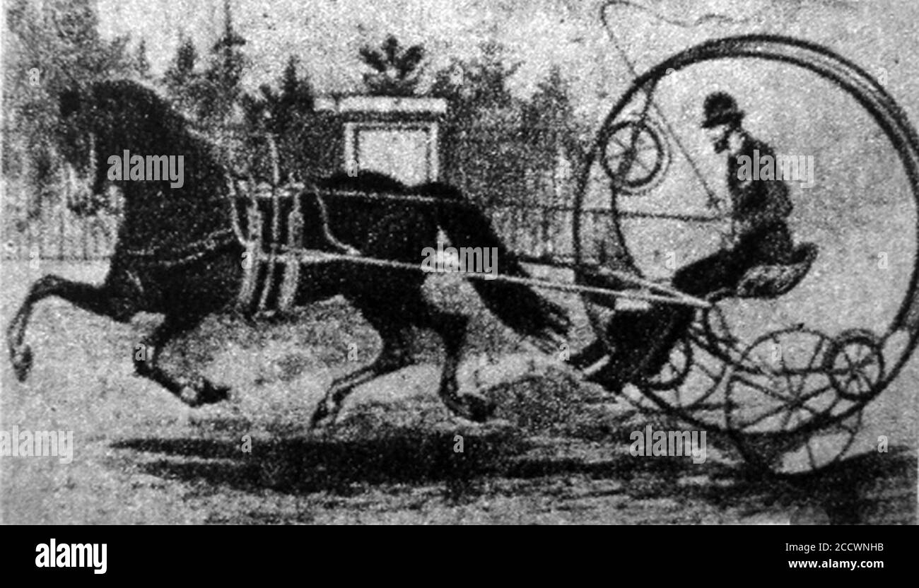 Jaskolka hi-res stock photography and images - Alamy