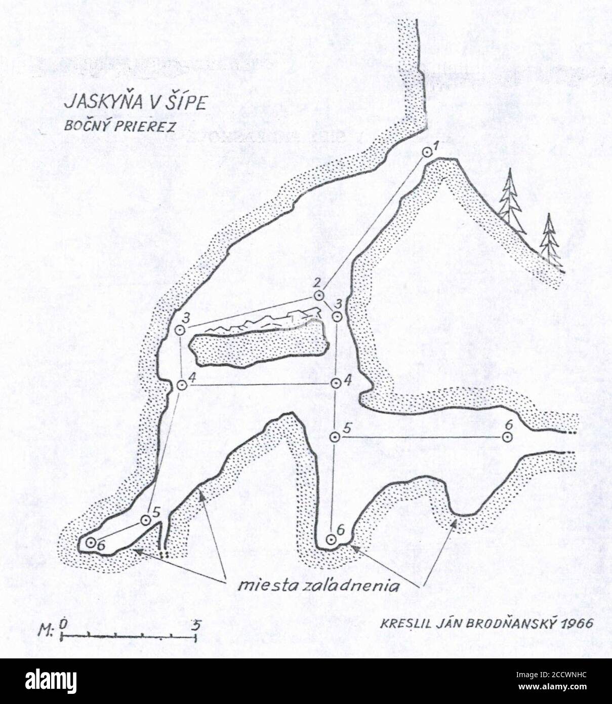 Sipe hi-res stock photography and images - Alamy