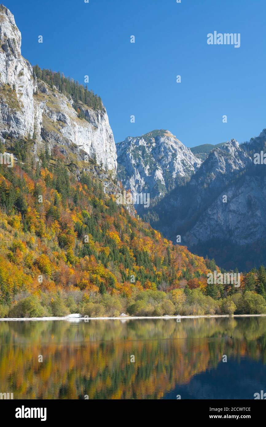 Sunny weather vertical hi-res stock photography and images - Alamy