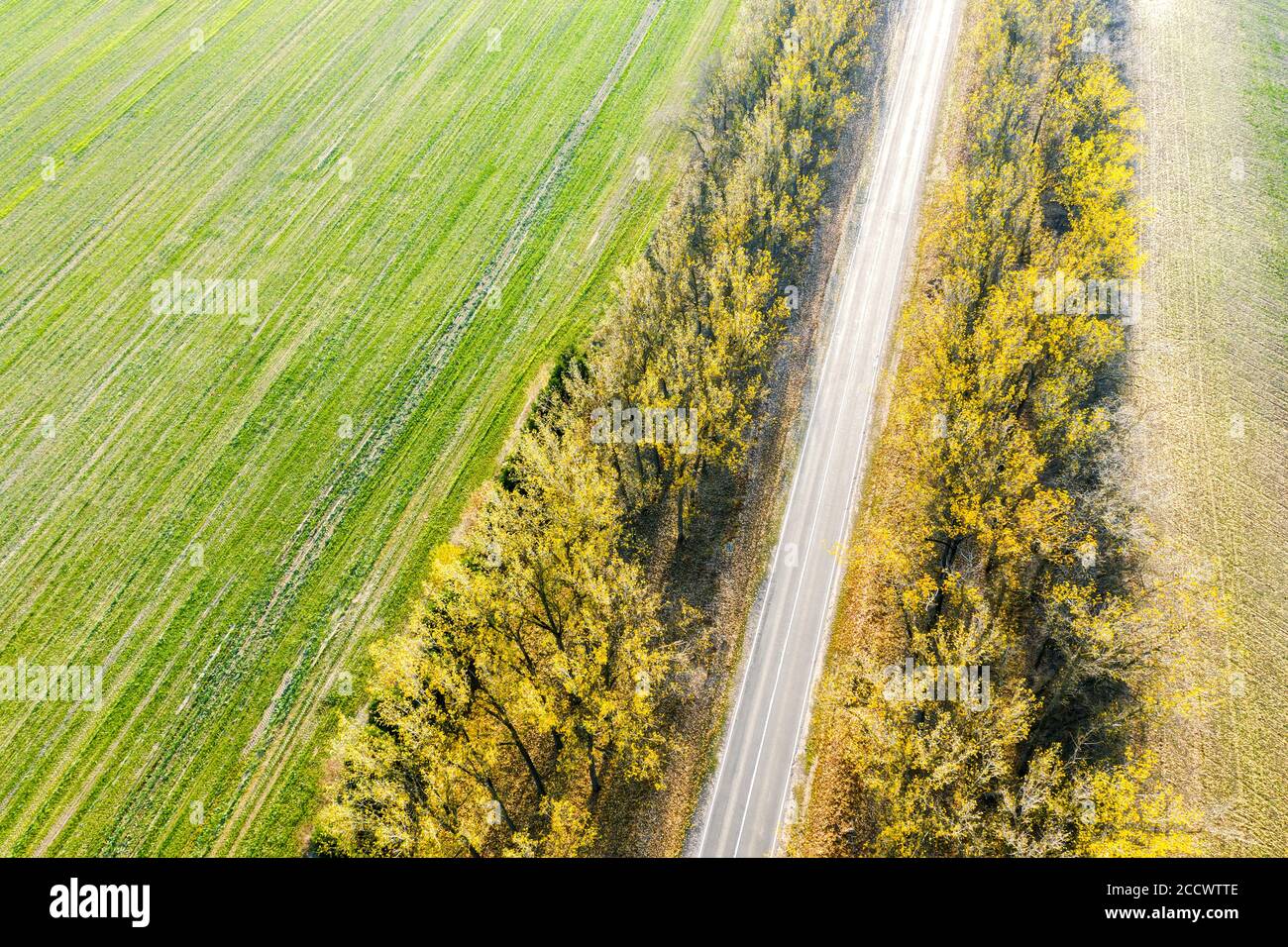 aerial view of country road, colorful autumn trees and farm fields ...