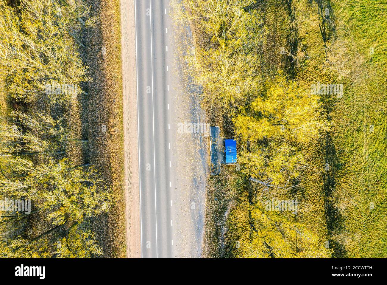 bus stop on rural road between colorful autumnal forest and cultivated ...