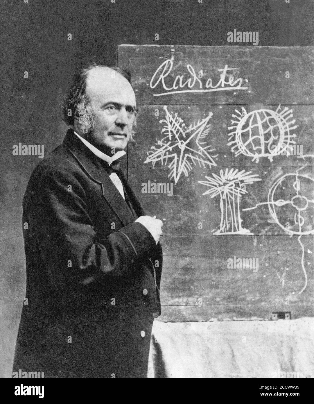 Louis agassiz Black and White Stock Photos & Images - Alamy