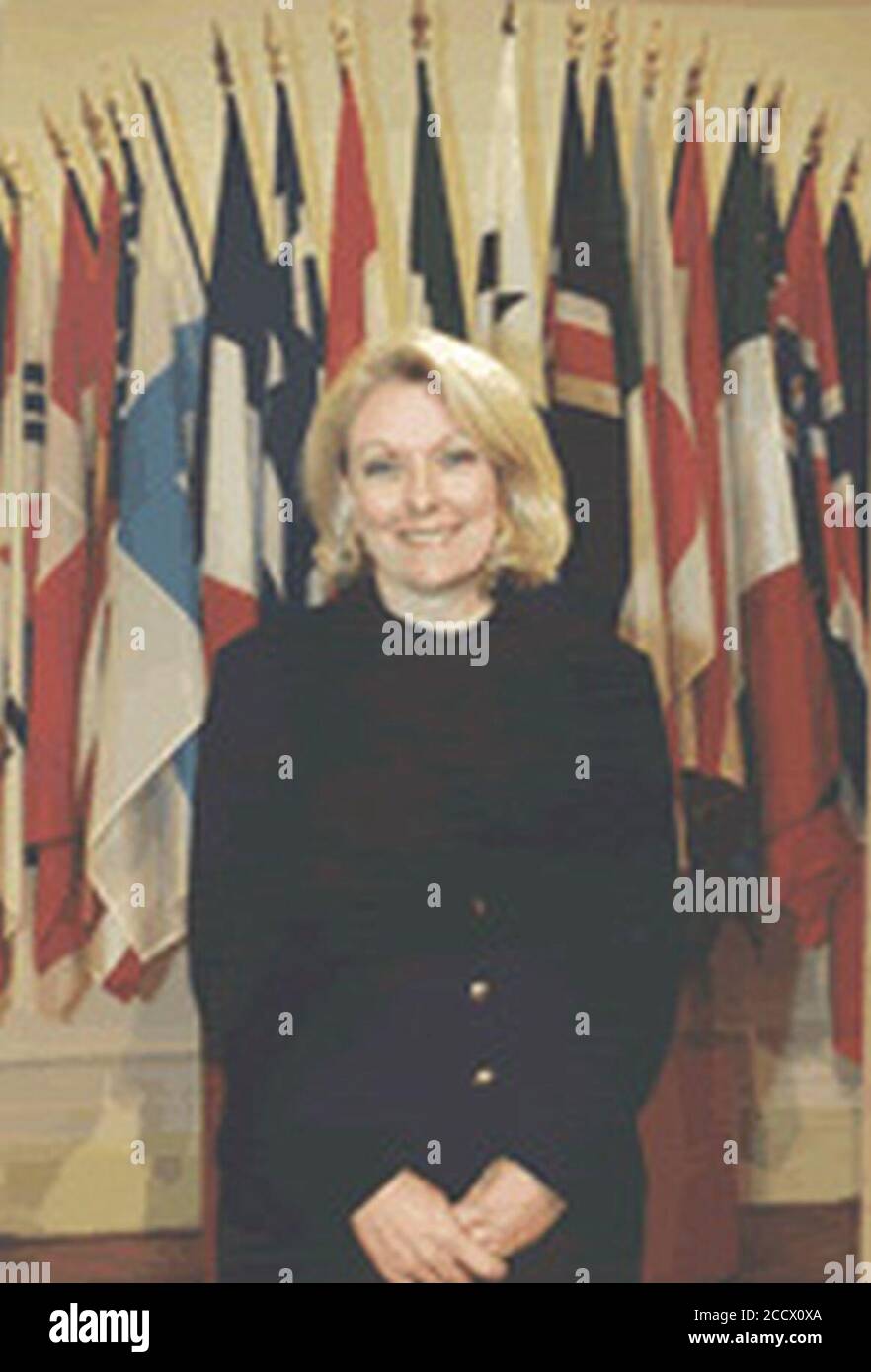 Jeanne L. Phillips US ambassador to the OECD Stock Photo - Alamy