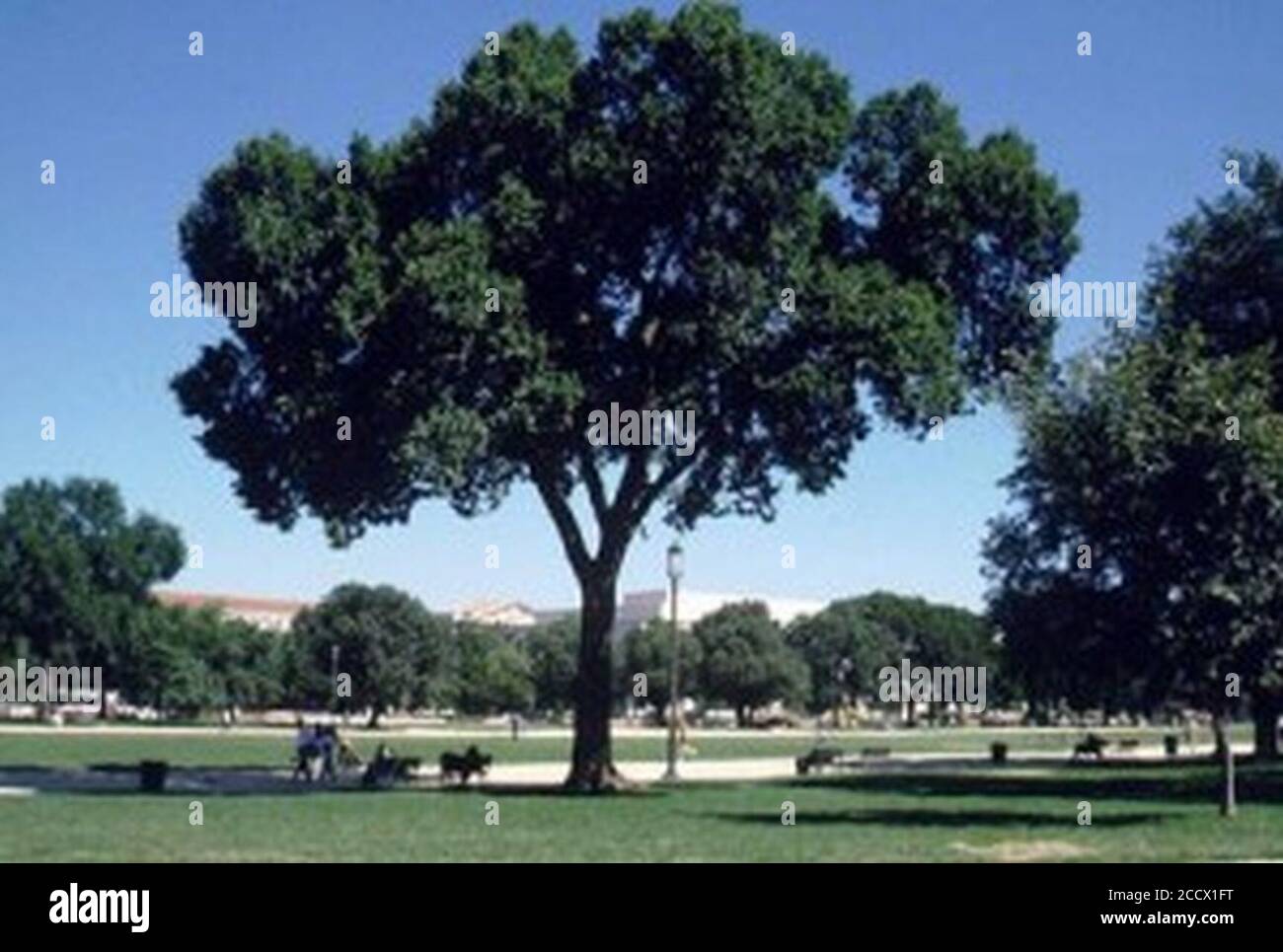 Washington james hi-res stock photography and images - Alamy