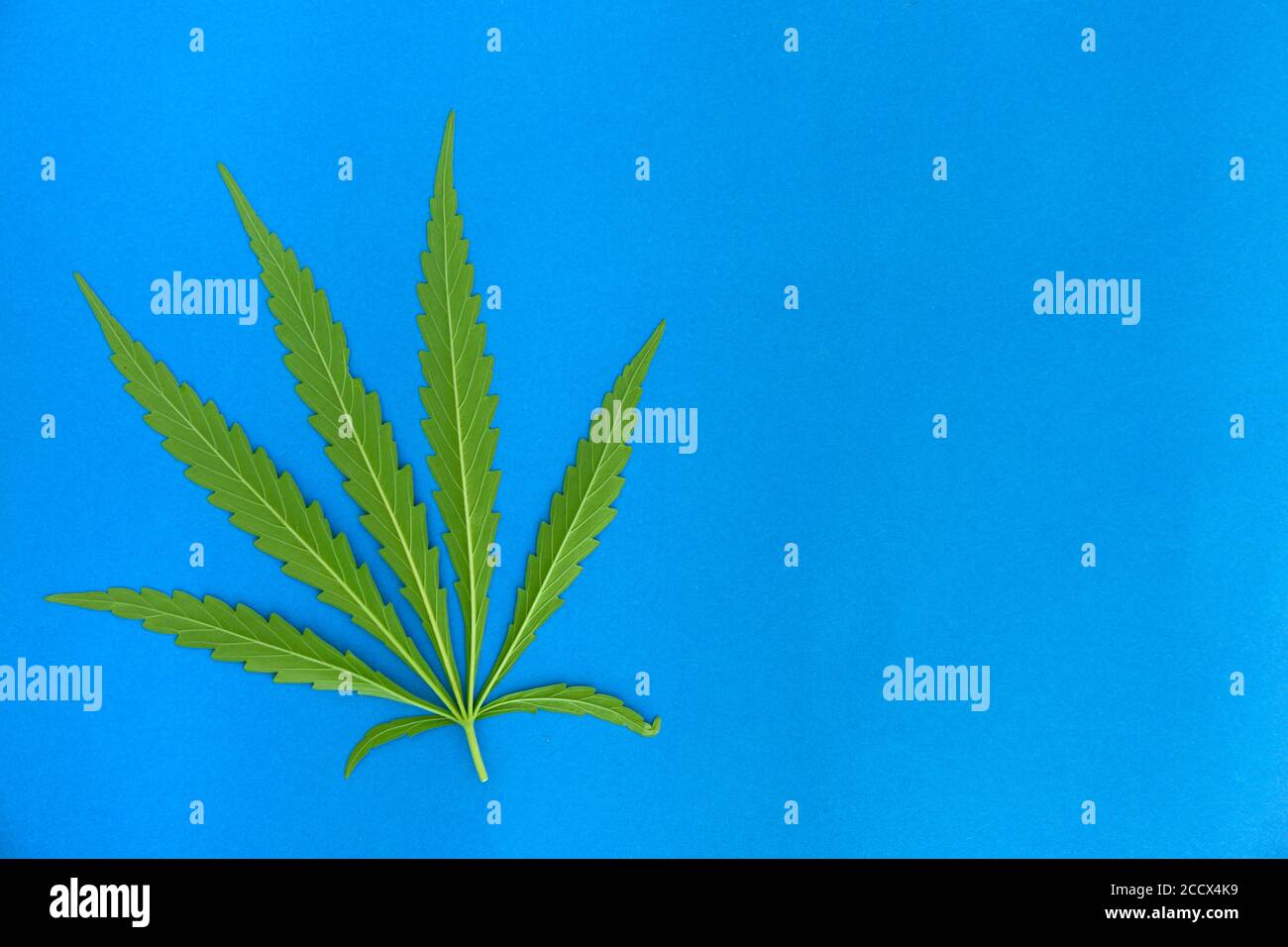Marijuana green hi-res stock photography and images - Alamy