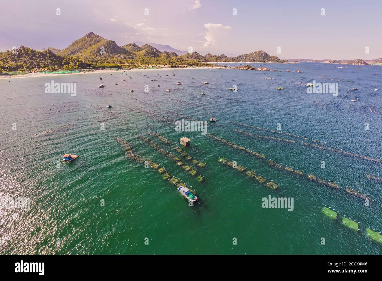 Lots of marine farms in a blue sea water. Sea farming concept Stock ...