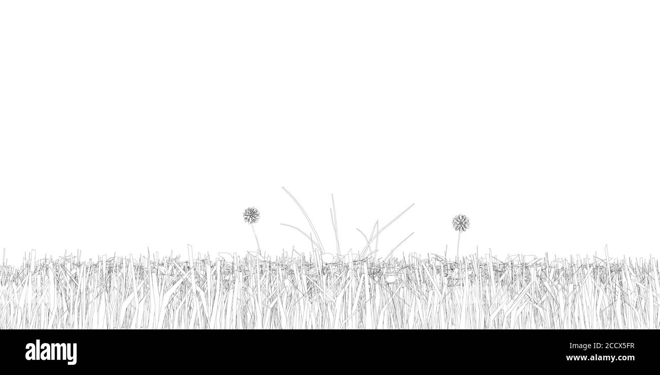 Contour grass isolated on white background. Isometric view. Vector ...