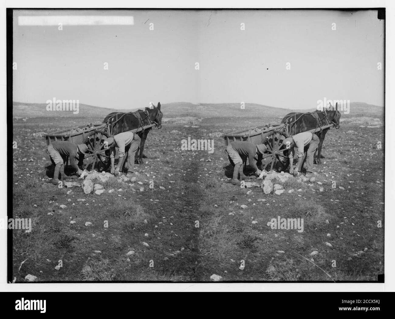 Jewish colonies and settlements. Commencing a Jewish settlement; a camp ...