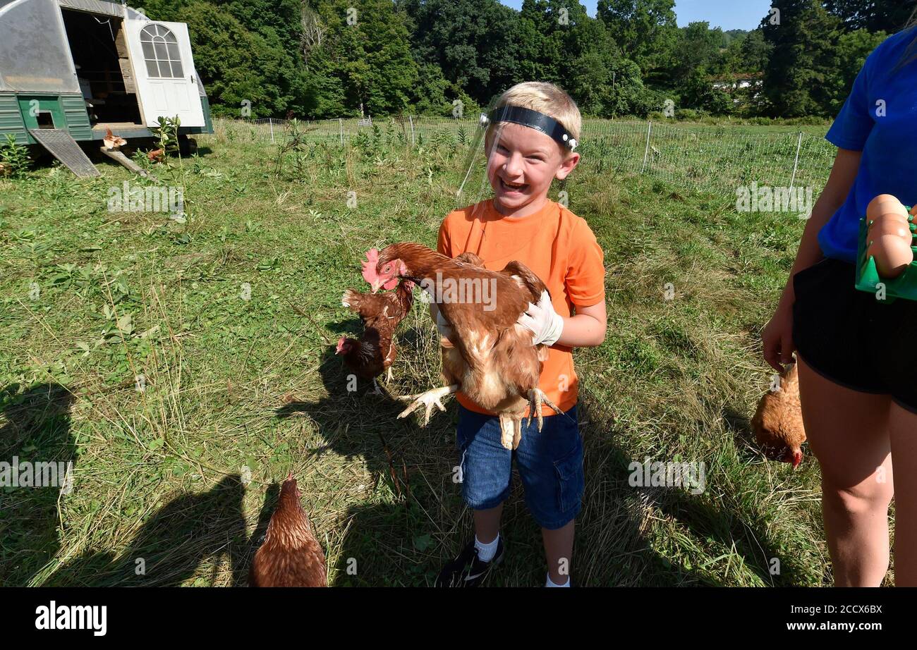 Collecting of grief hi-res stock photography and images - Alamy