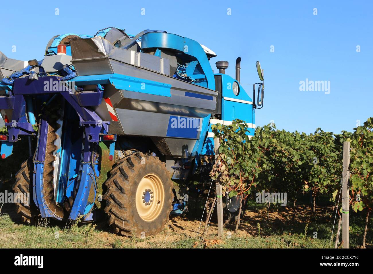 Vintage or grape harvest with harvester Stock Photo - Alamy