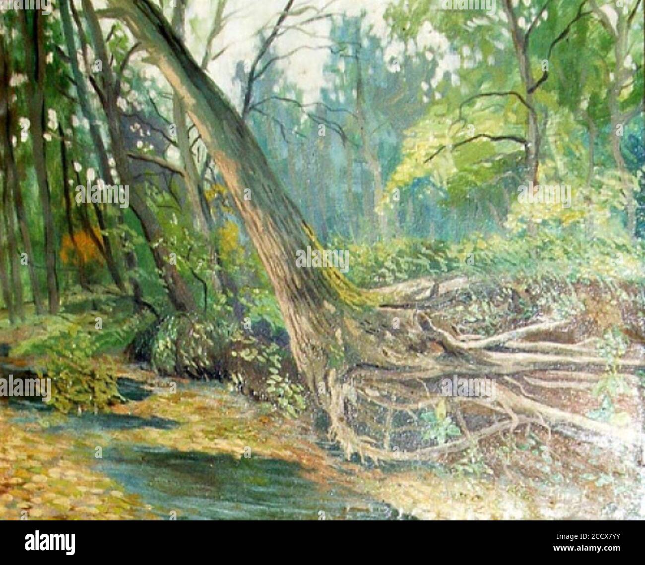 Potoka hi-res stock photography and images - Alamy