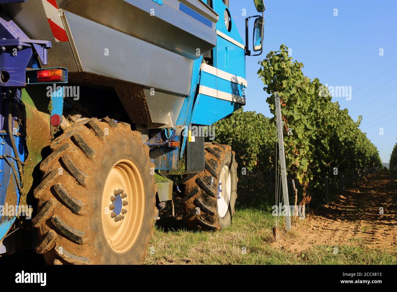 Grape vine harvester hi-res stock photography and images - Alamy