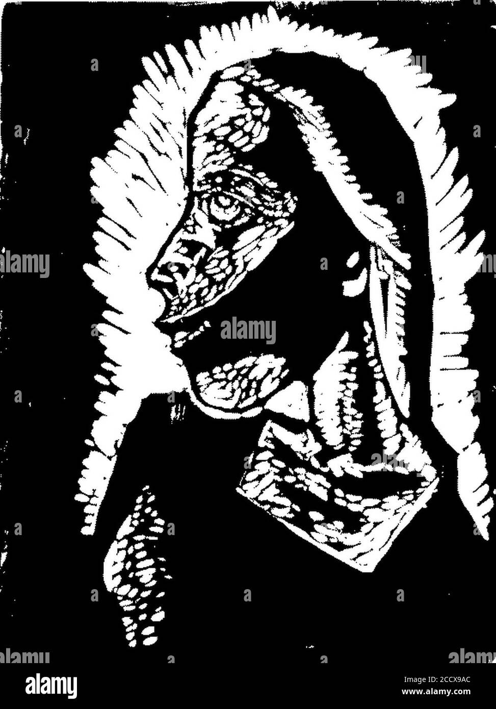 Karsch High Resolution Stock Photography and Images - Alamy