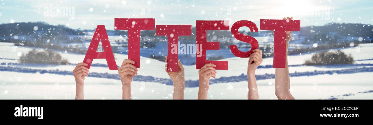 People Hands Holding Word Attest Means Certification, Snowy Winter ...