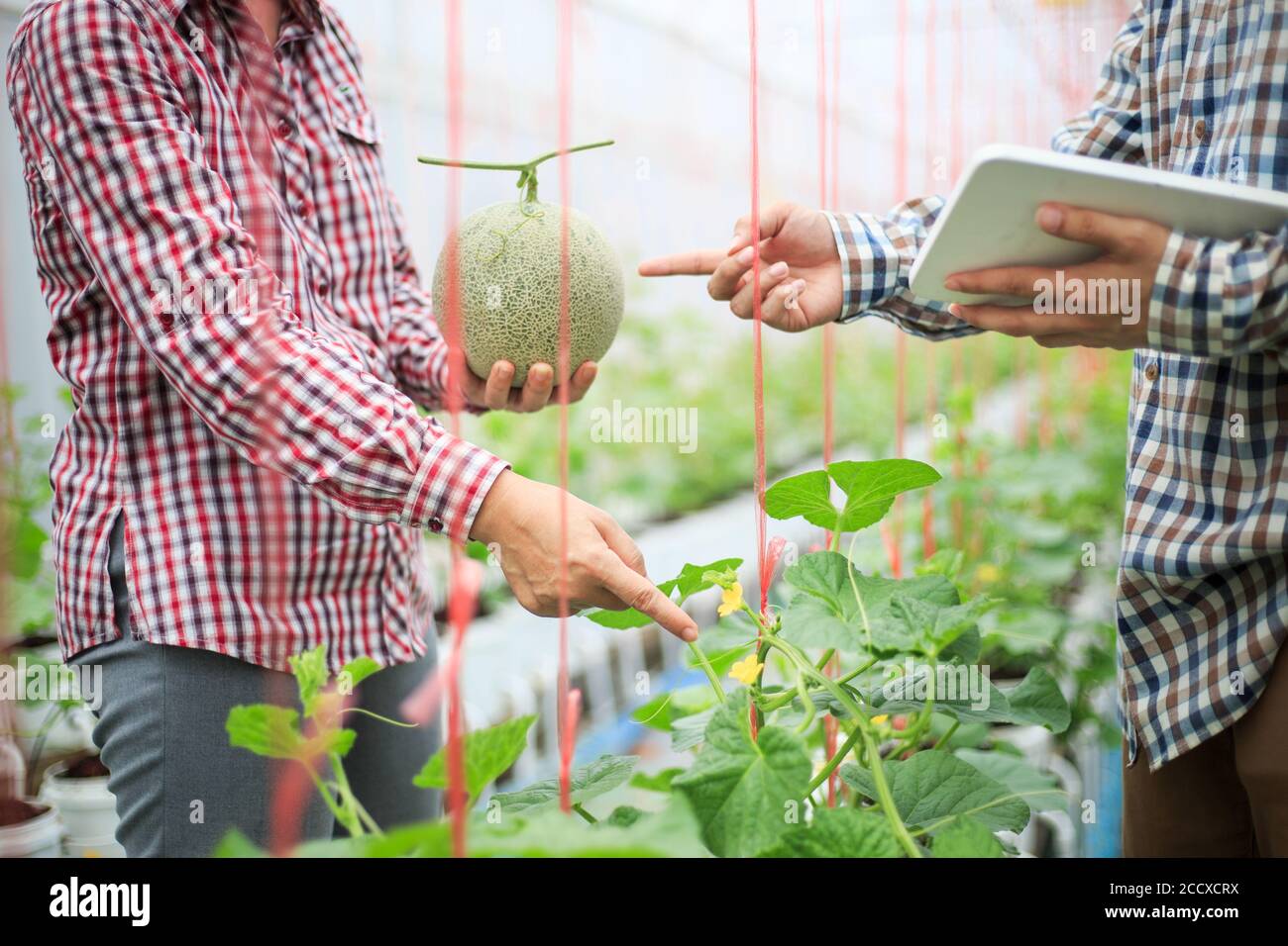 Agriculture computer system hi-res stock photography and images - Alamy