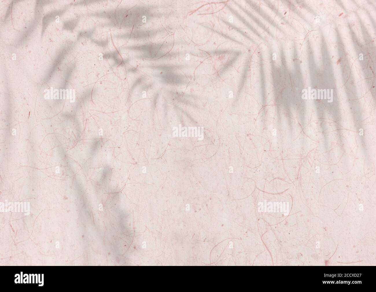 The pastel pink textured Japanese paper background with palm leaves ...