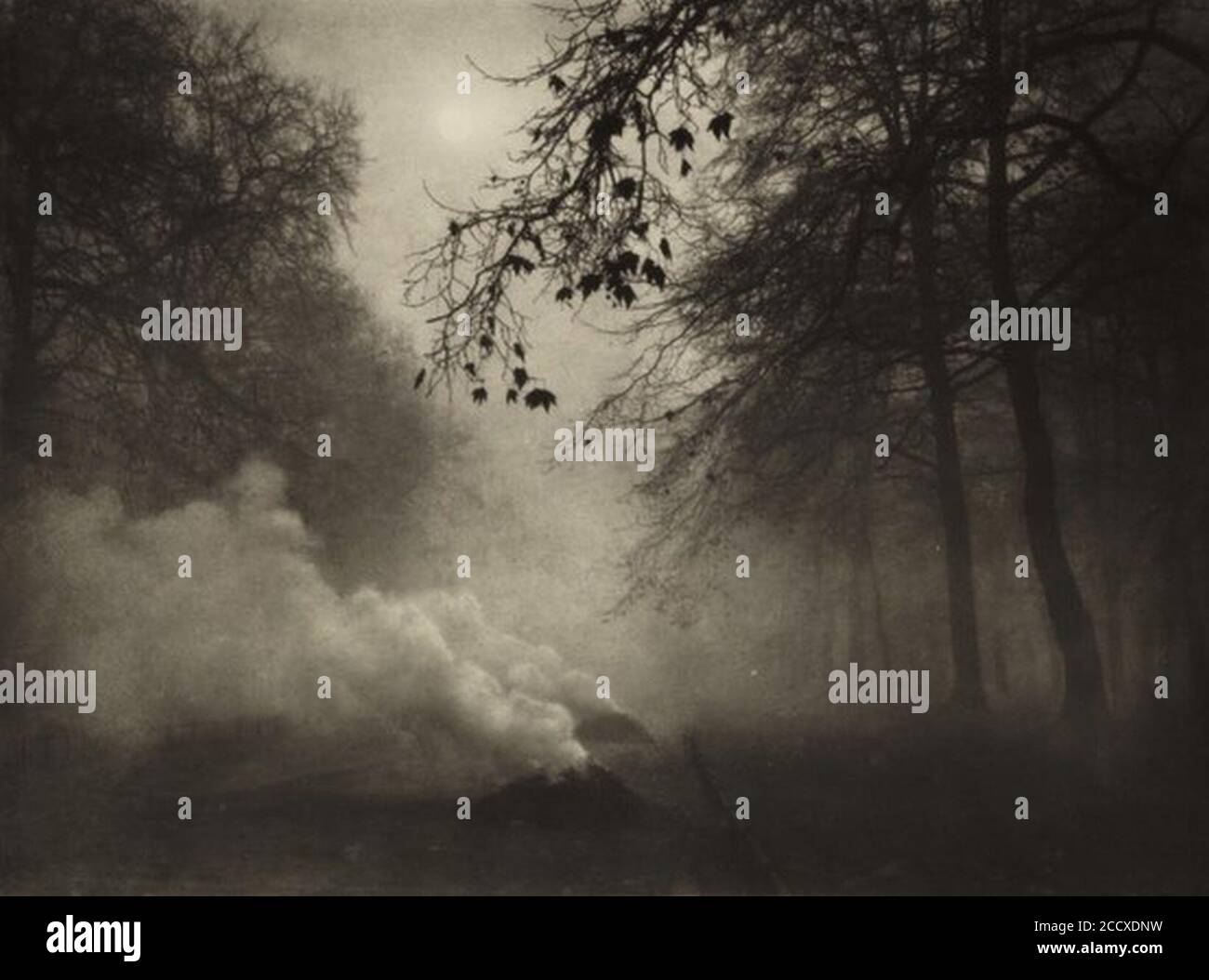 Job Burning leaves Stock Photo - Alamy