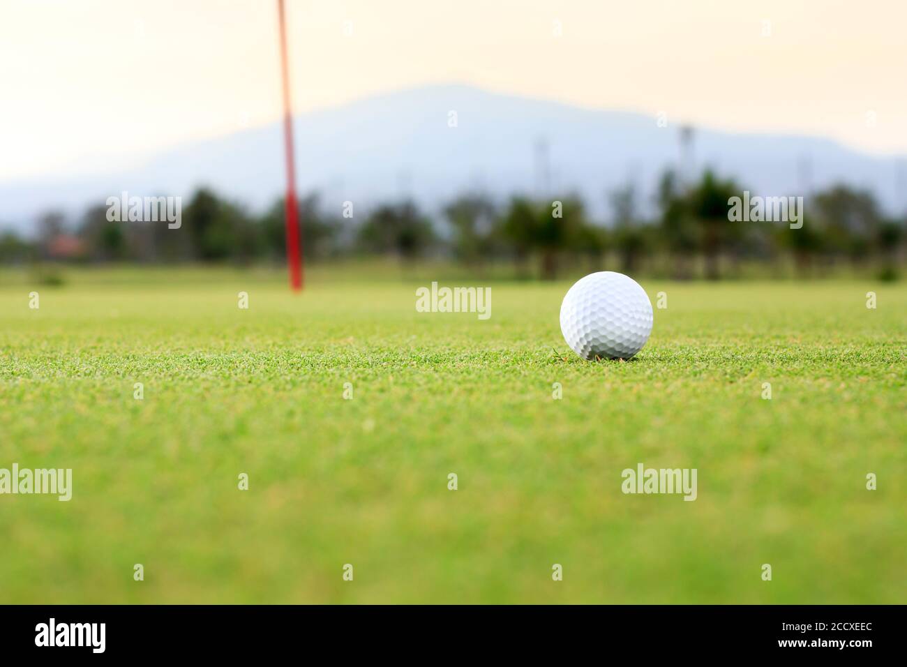 golf ball on green course Stock Photo - Alamy