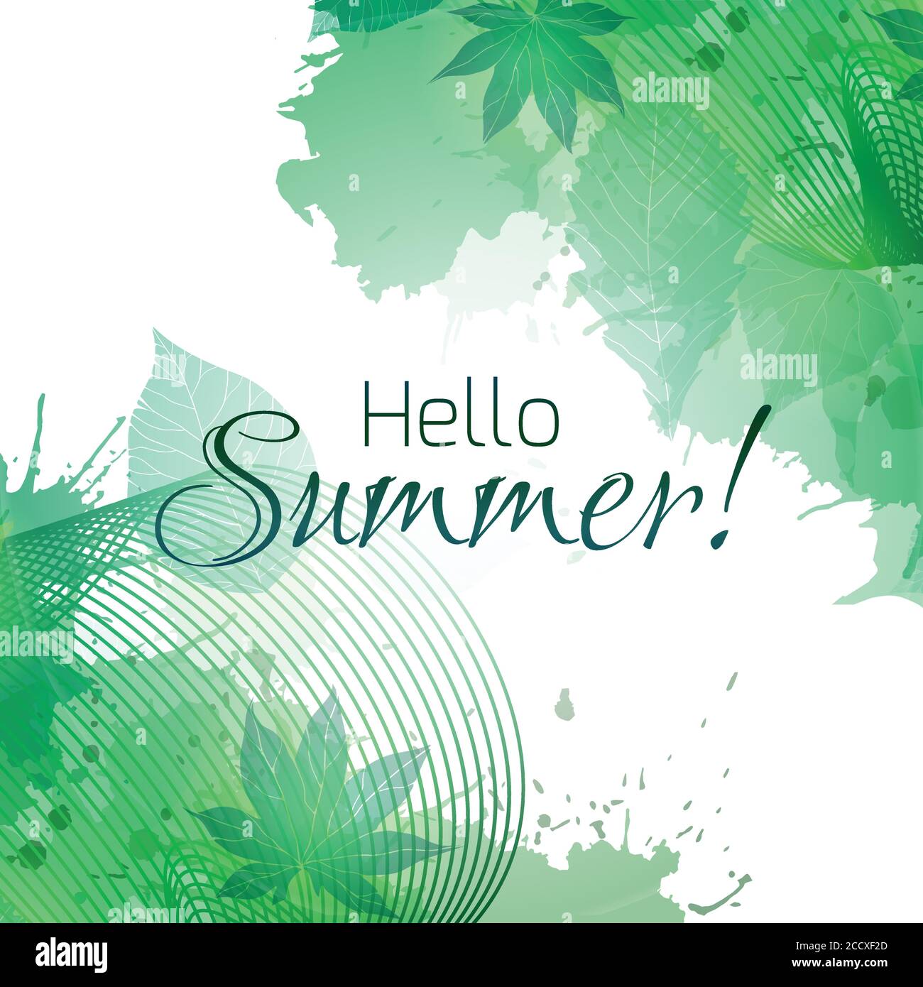 Hello summer. Summer greeting card with green leaves, watercolor ...