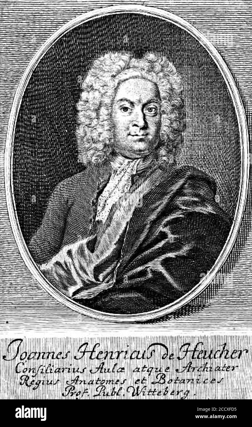 Heuchner hi-res stock photography and images - Alamy