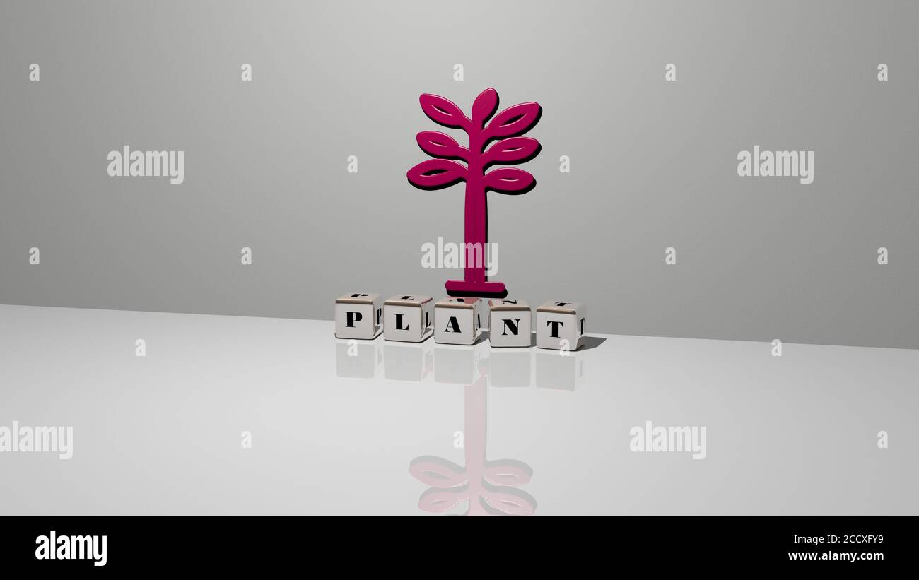 plant text of cubic dice letters on the floor and 3D icon on the wall ...