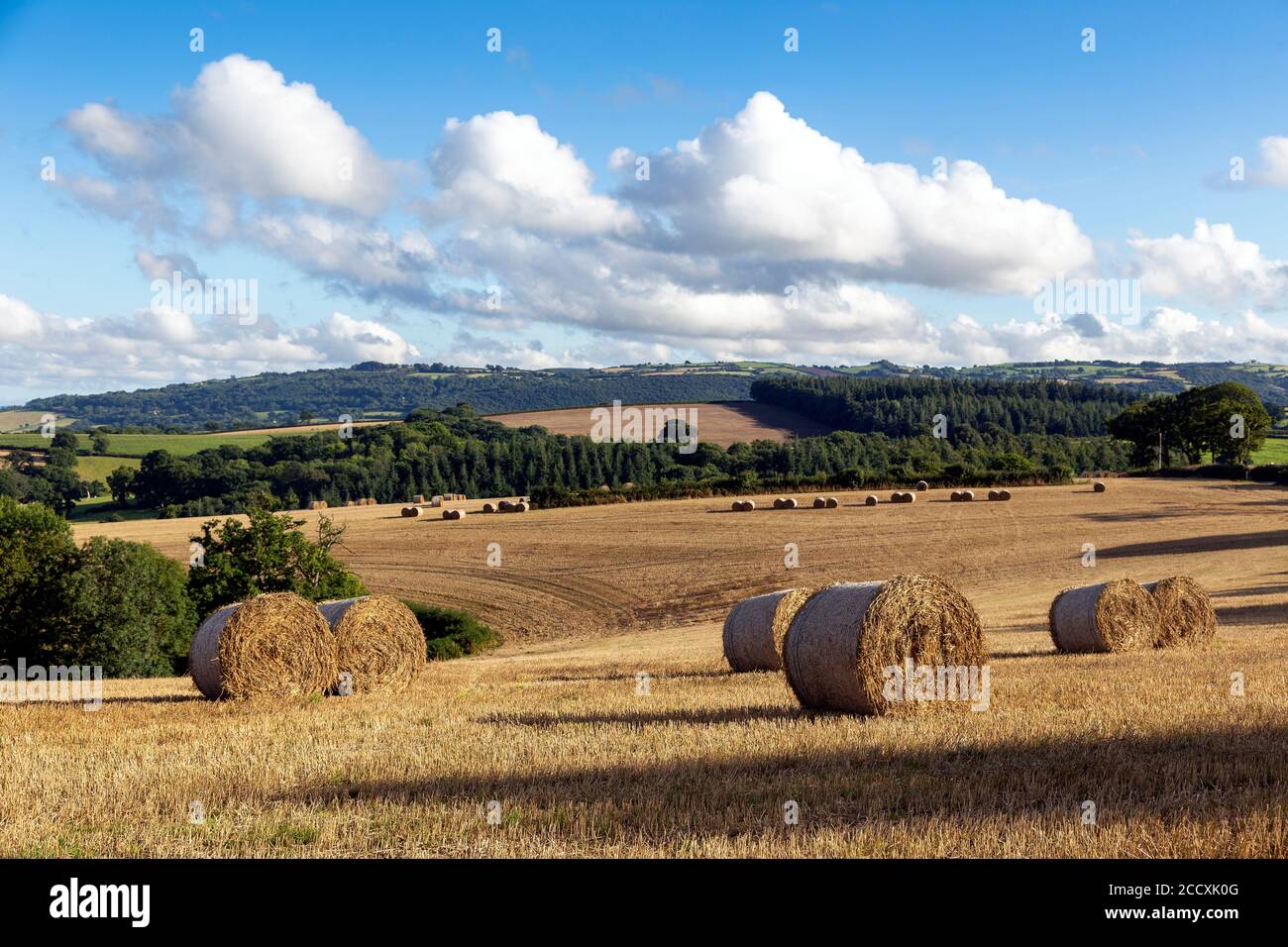 Baling in devon fields hi-res stock photography and images - Alamy