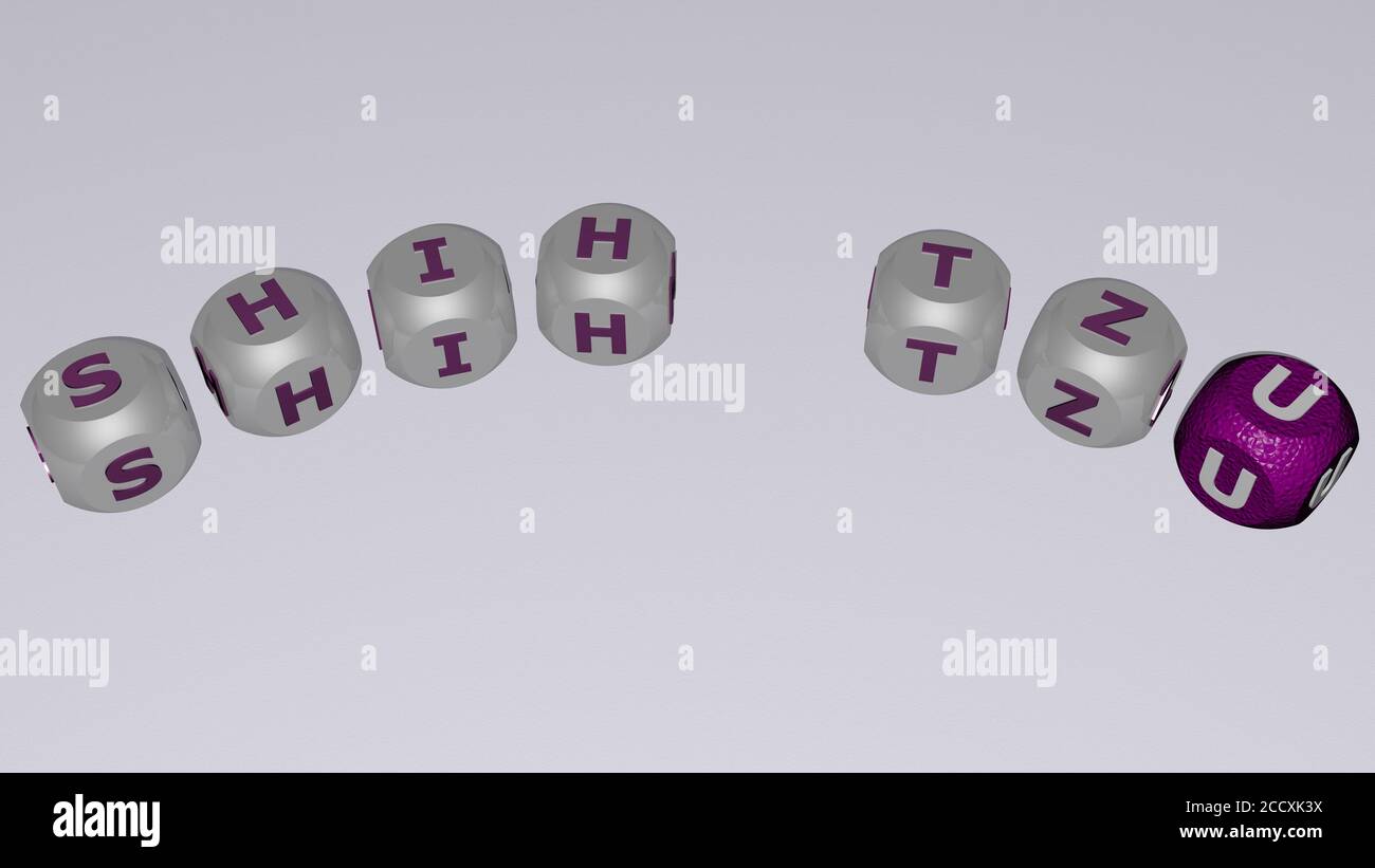 SHIH TZU text of dice letters with curvature, 3D illustration Stock ...