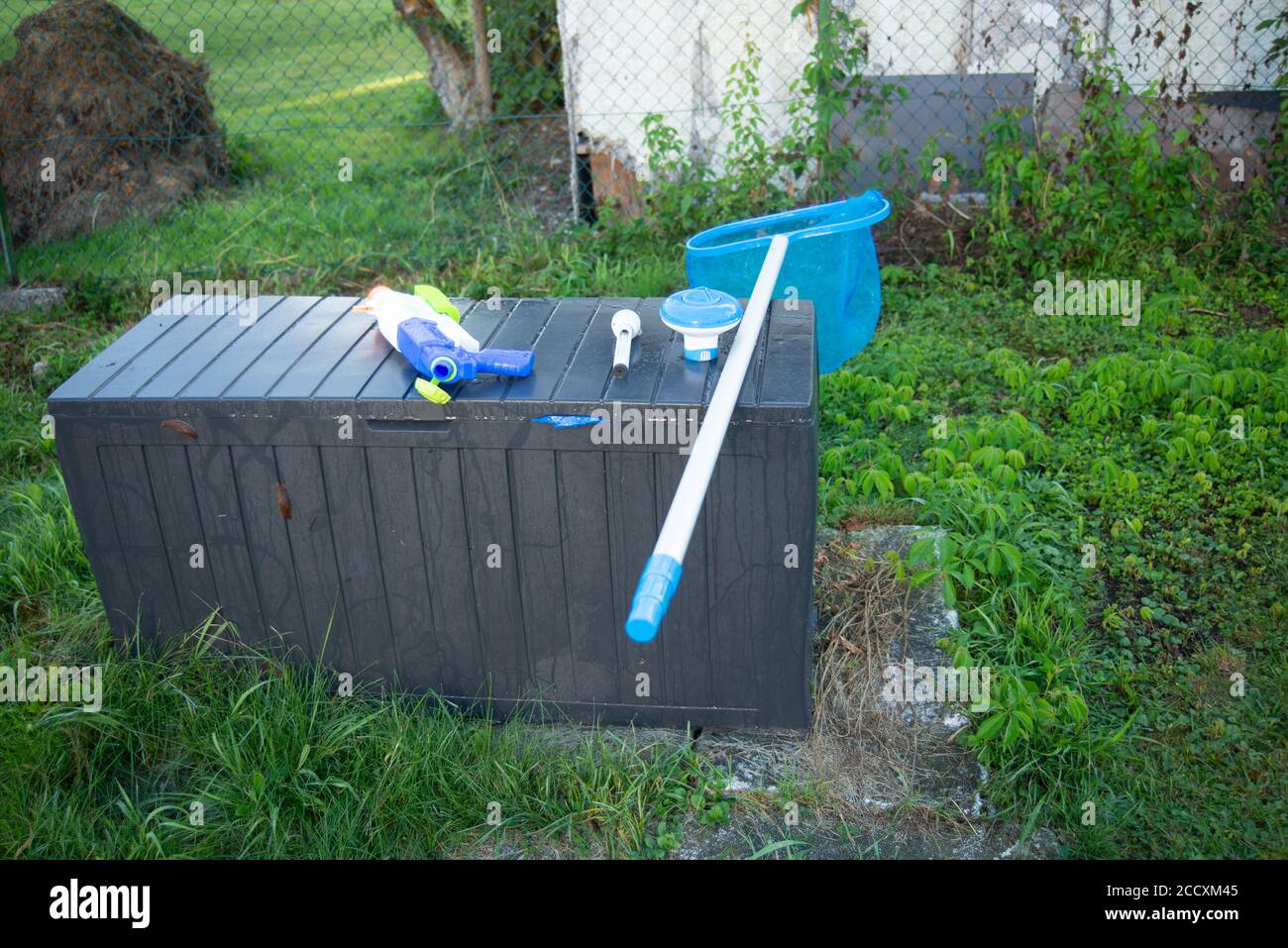 Swimming-Pool maintenance items and toys lie on top of a tool box early ...