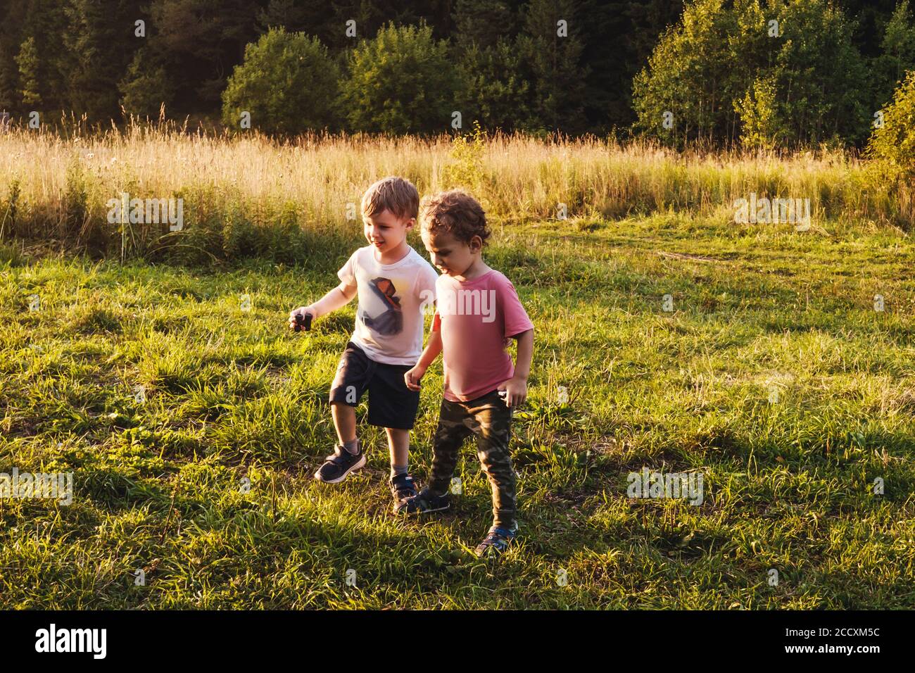 Two cute young preschool, child walk and talk in green field. Sunset ...