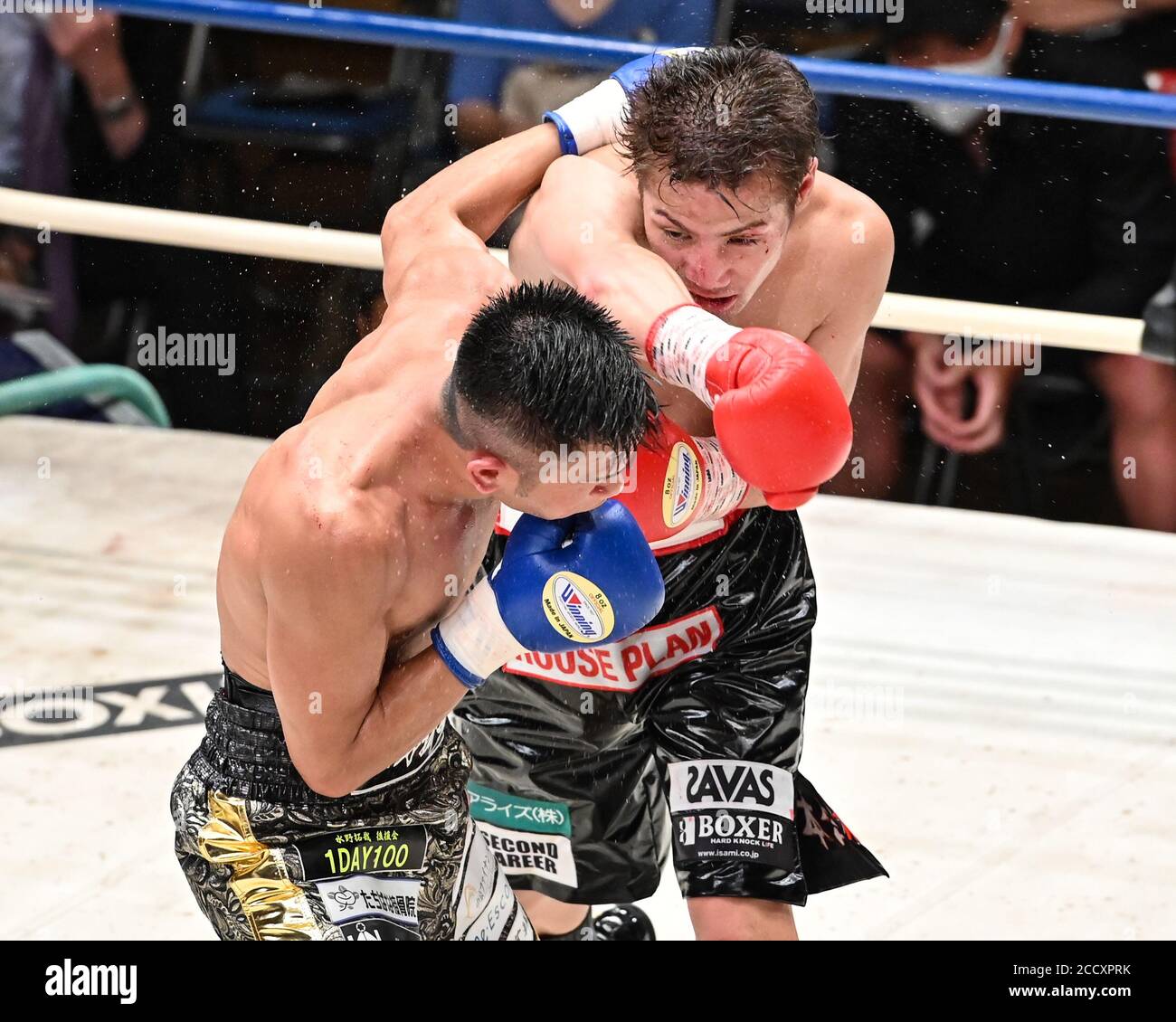 Tokyo, Japan. 24th Aug, 2020. (R-L) Ryo Matsumoto, Takuya Mizuno Boxing ...