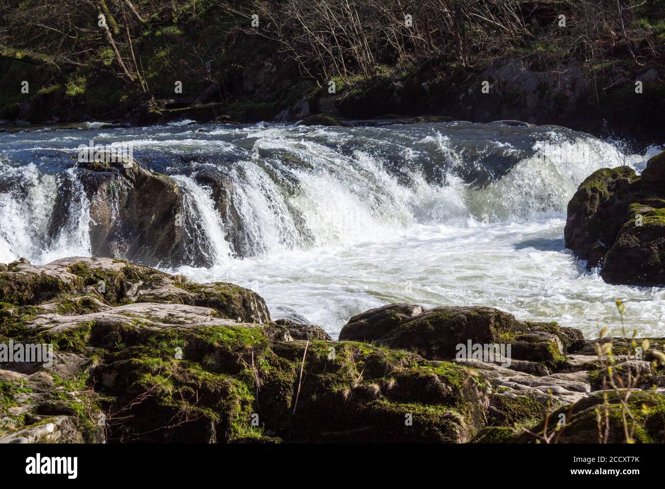 Rapids and water falls on a fast moving river Stock Photo - Alamy