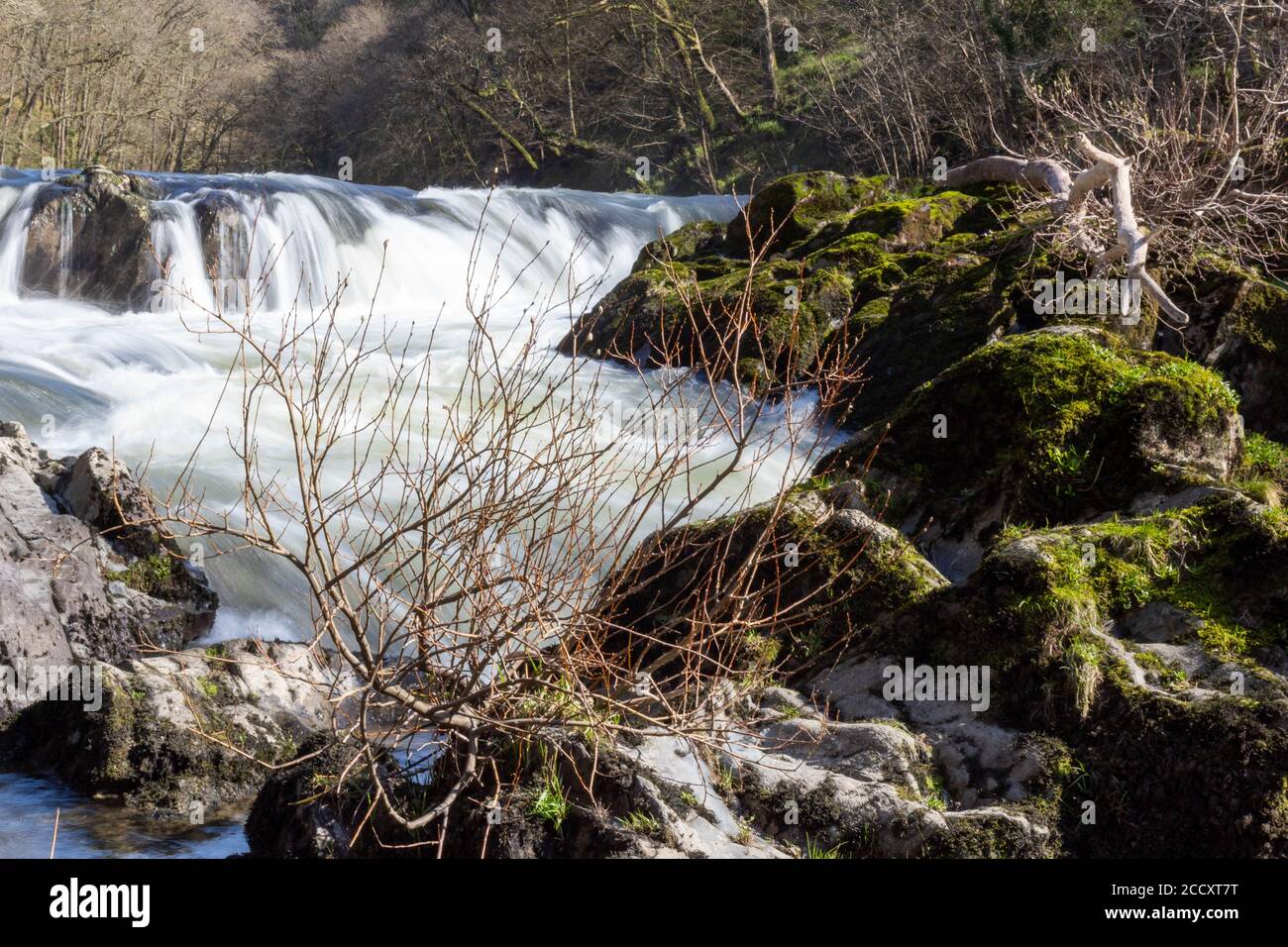 Rapids and water falls on a fast moving river Stock Photo - Alamy