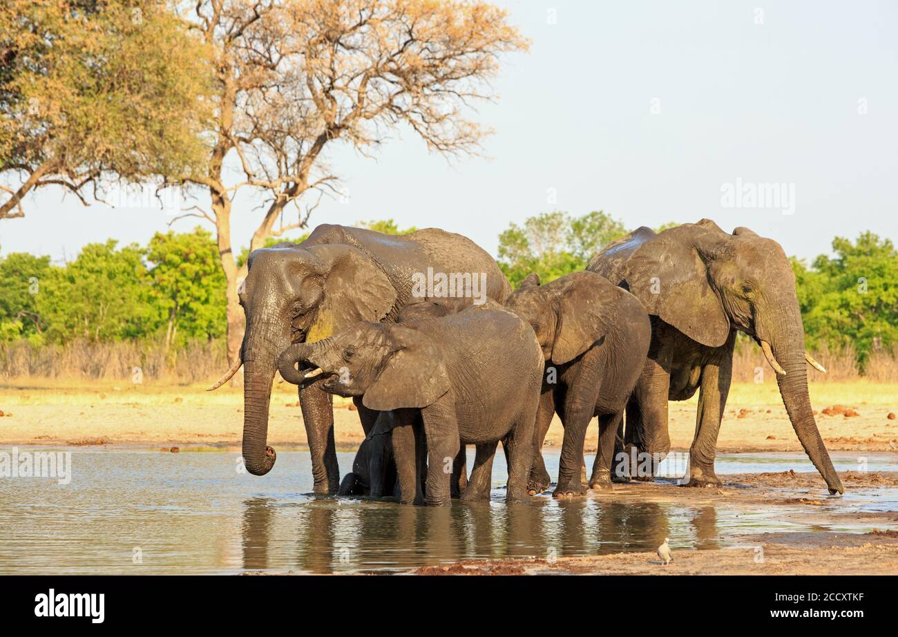 Rondavel hi-res stock photography and images - Alamy