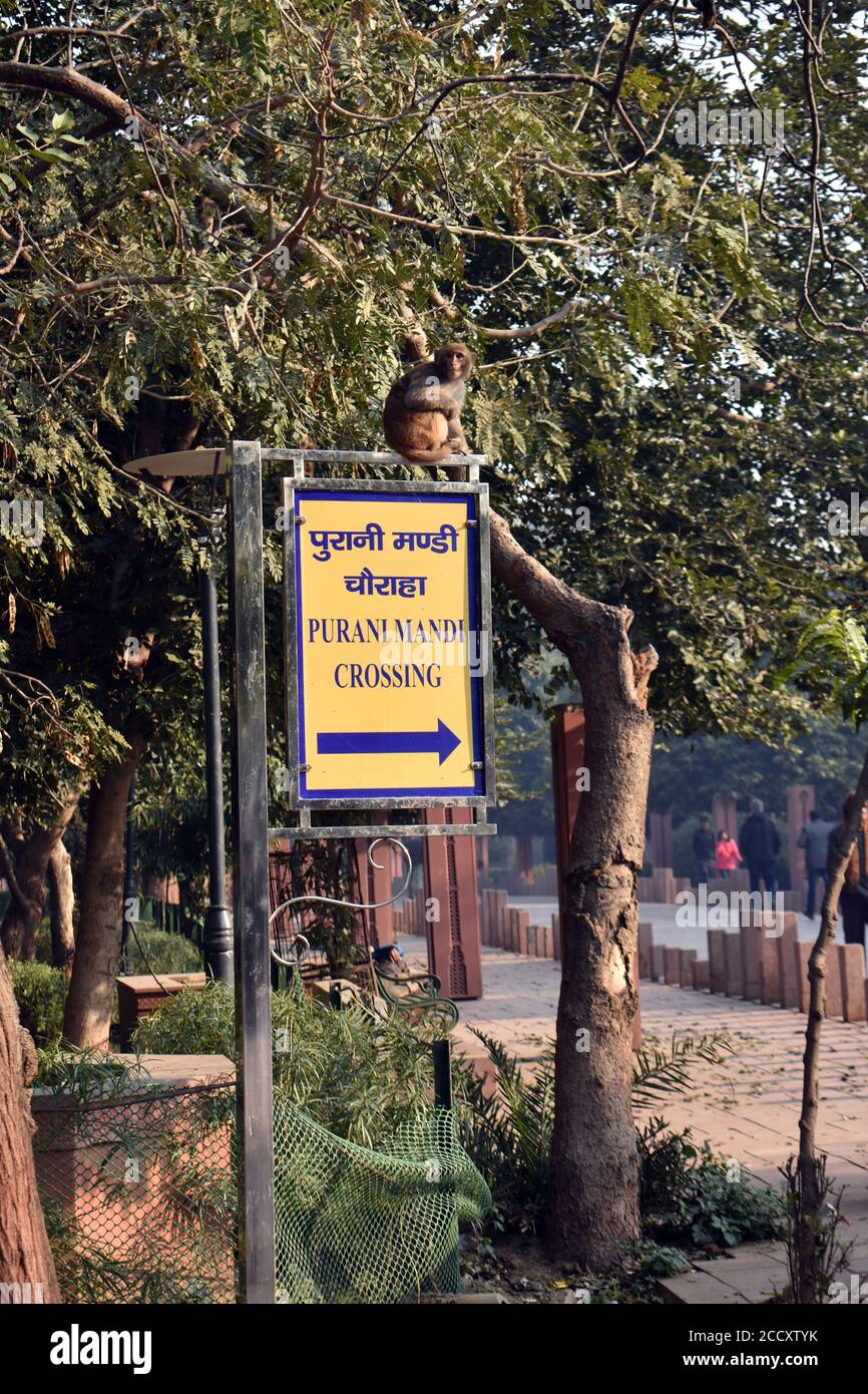 Agra town hi-res stock photography and images - Alamy