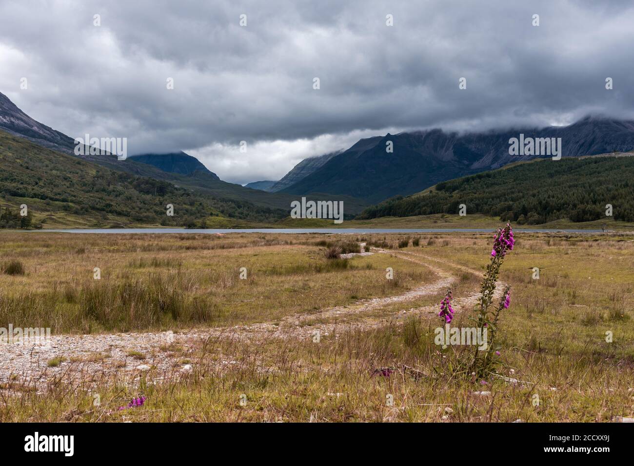 North coast 500 and road and car hi-res stock photography and images ...