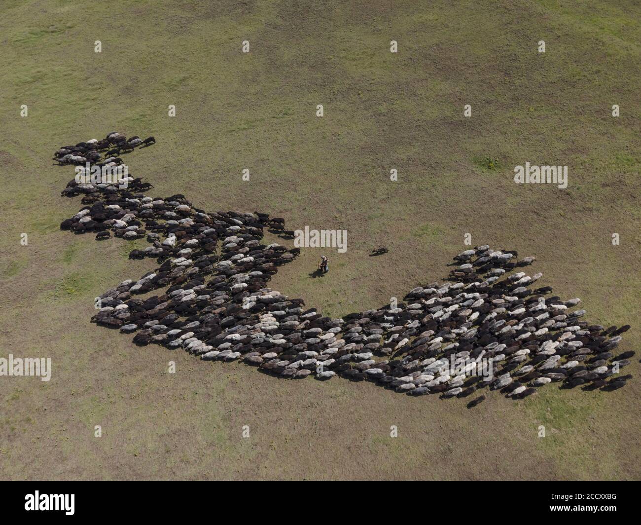 Tarutino steppe hi-res stock photography and images - Alamy