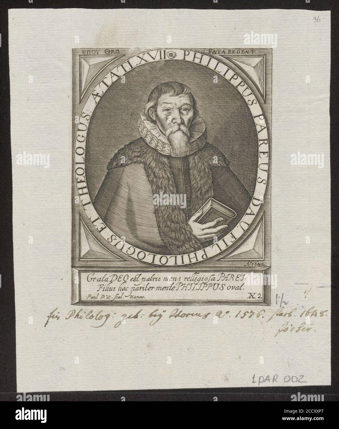 Pareus hi-res stock photography and images - Alamy