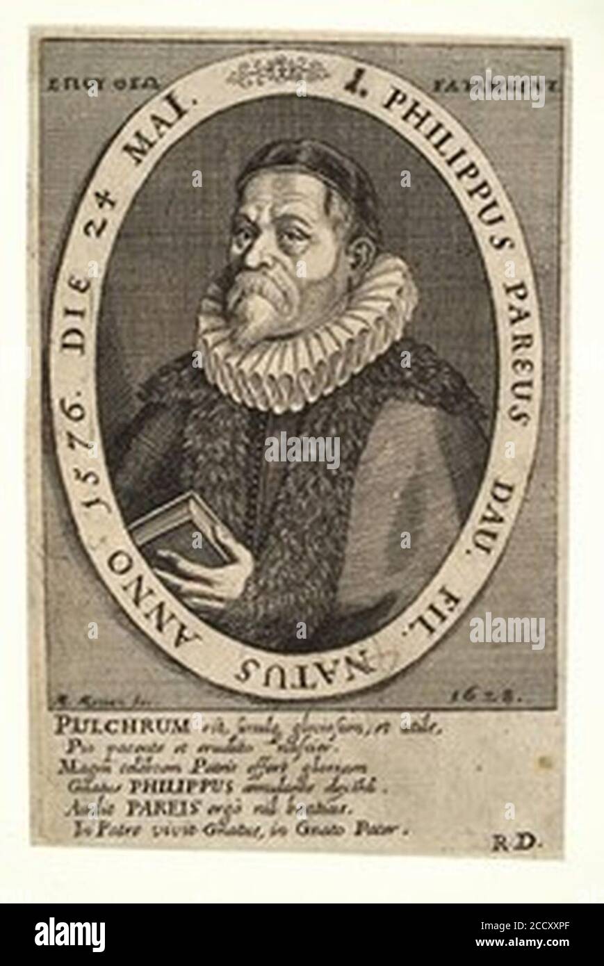 Pareus hi-res stock photography and images - Alamy