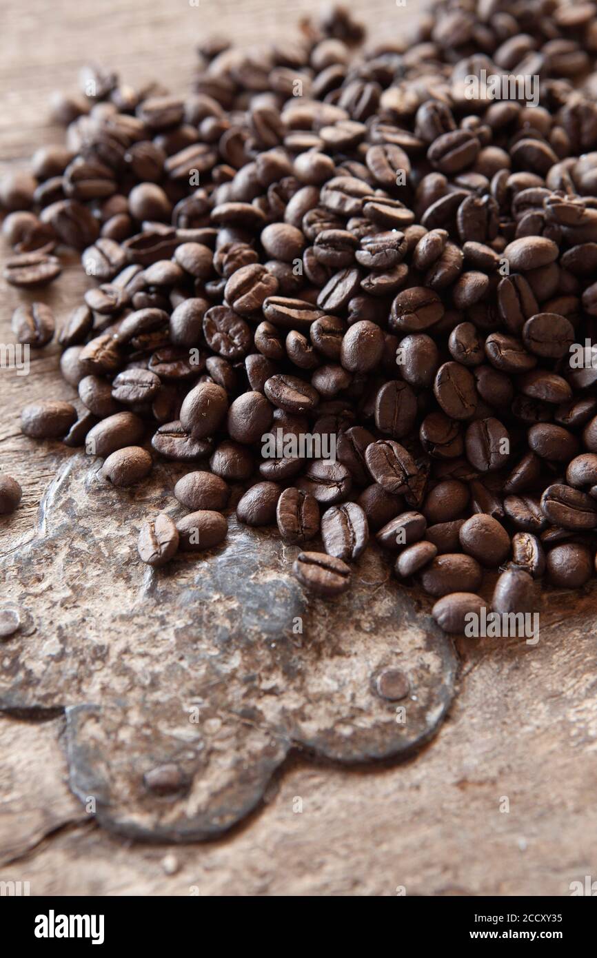 Roasted arabiga coffee beans, Aguas Claras coffee plantation in Itapira ...