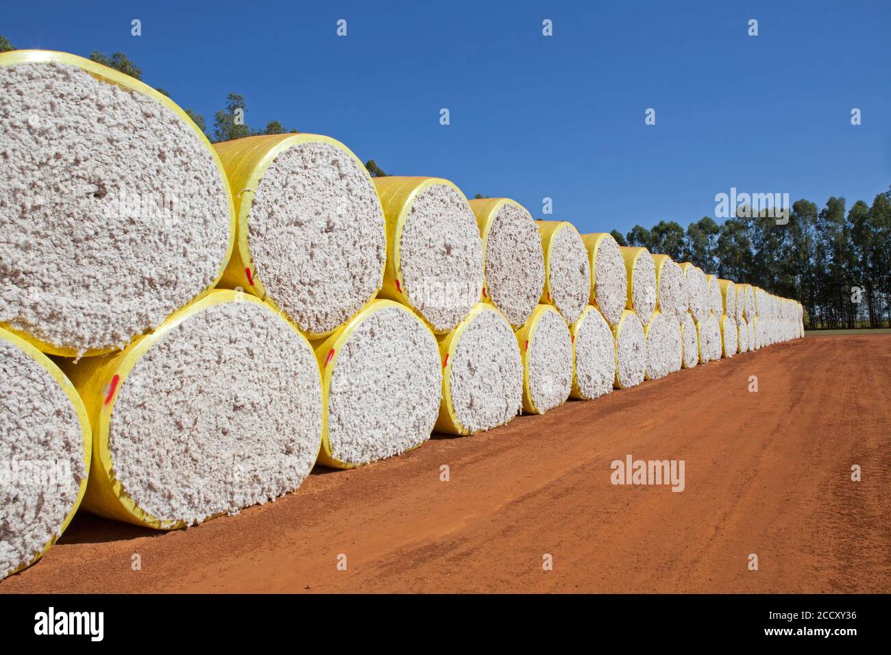 Stacks of cotton in Mato Grosso state, Brazil Stock Photo - Alamy