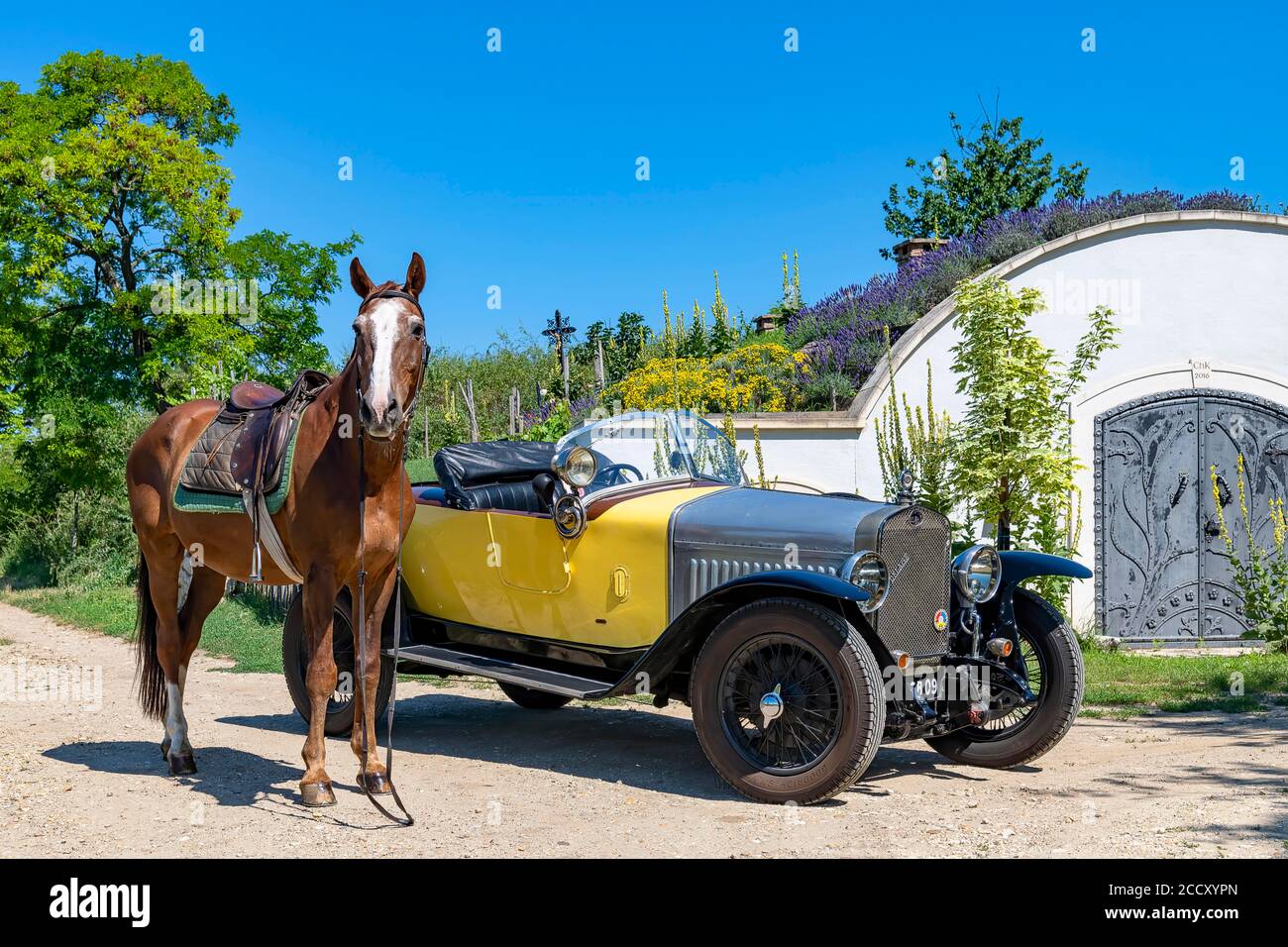 Oldtimer Delage DISS, Delage DISS, built 1925, 4 cylinders, capacity ...