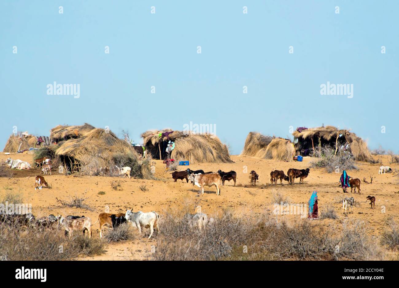 Thar desert image hi-res stock photography and images - Alamy