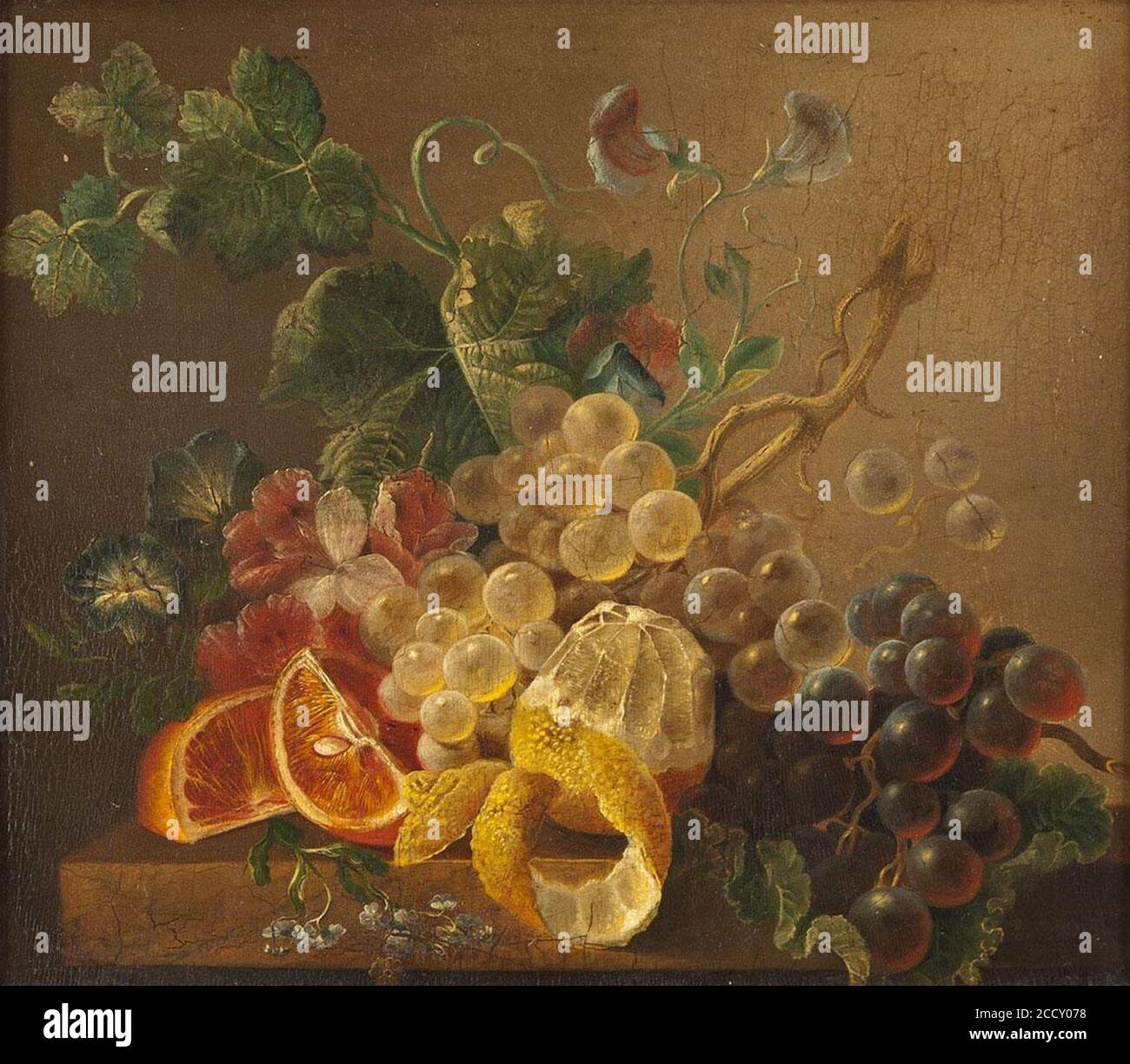 Johann wilhelm preyer hi-res stock photography and images - Alamy
