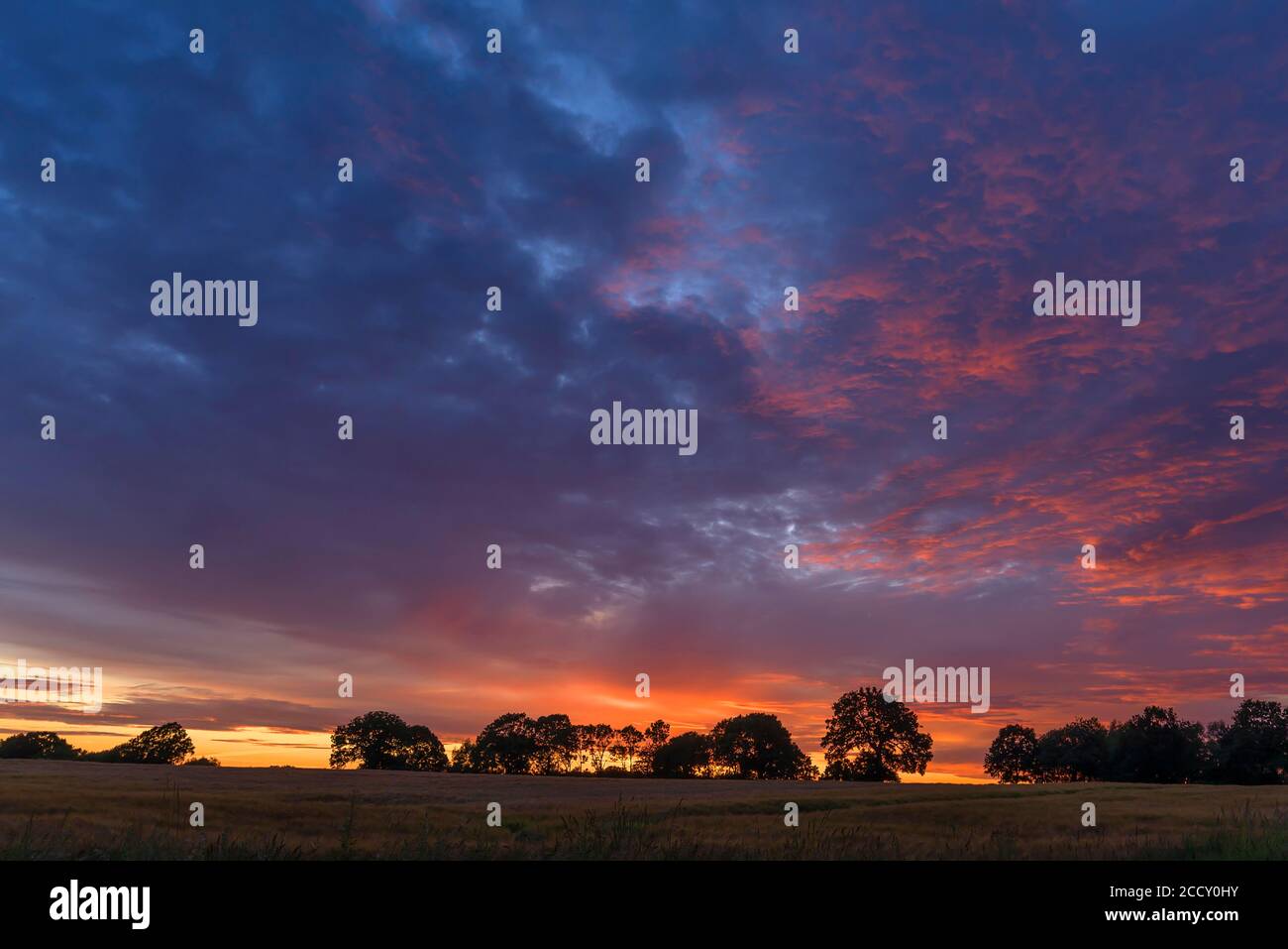 Evening sky trees hi-res stock photography and images - Alamy