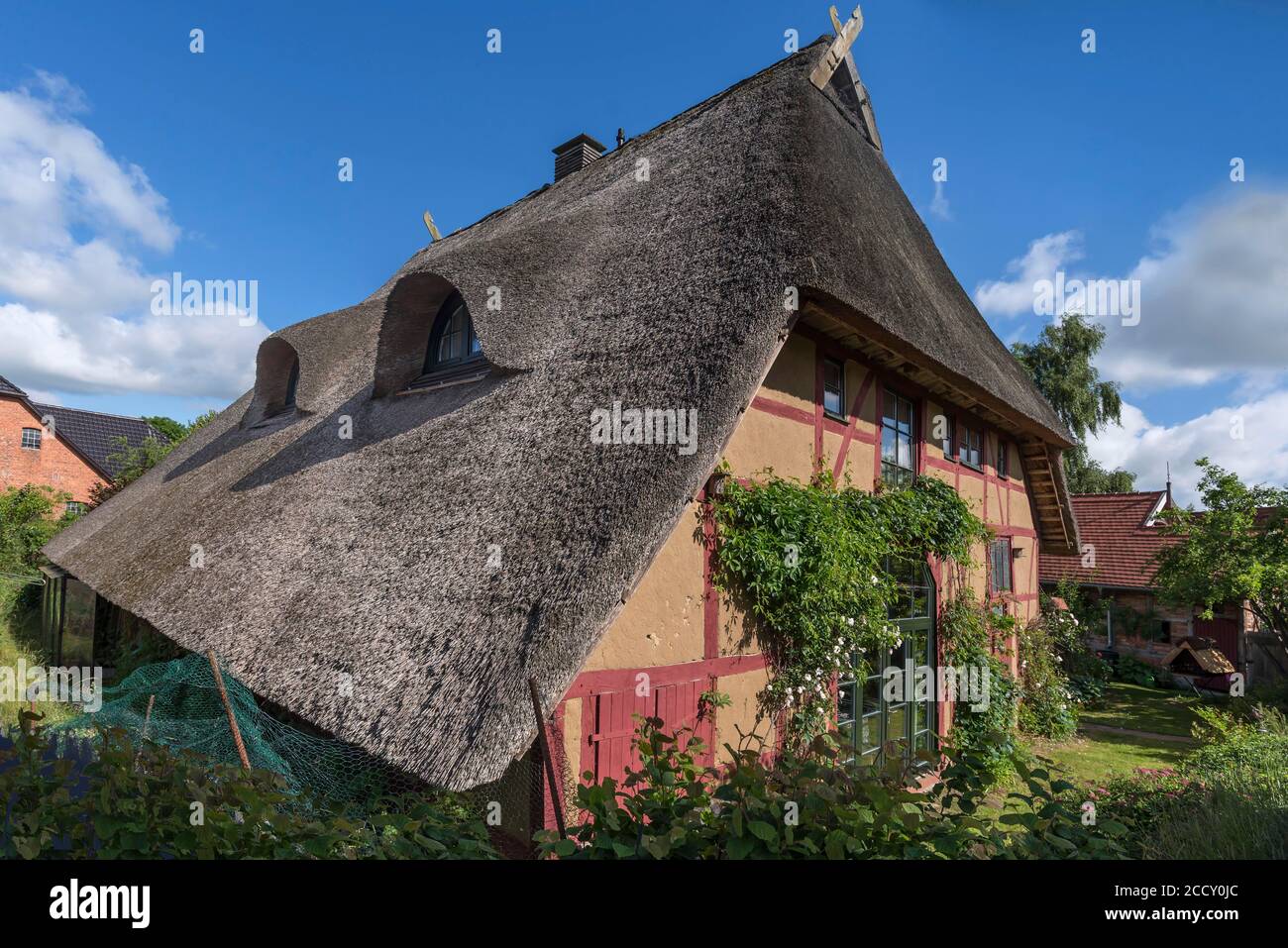 Vitense hi-res stock photography and images - Alamy