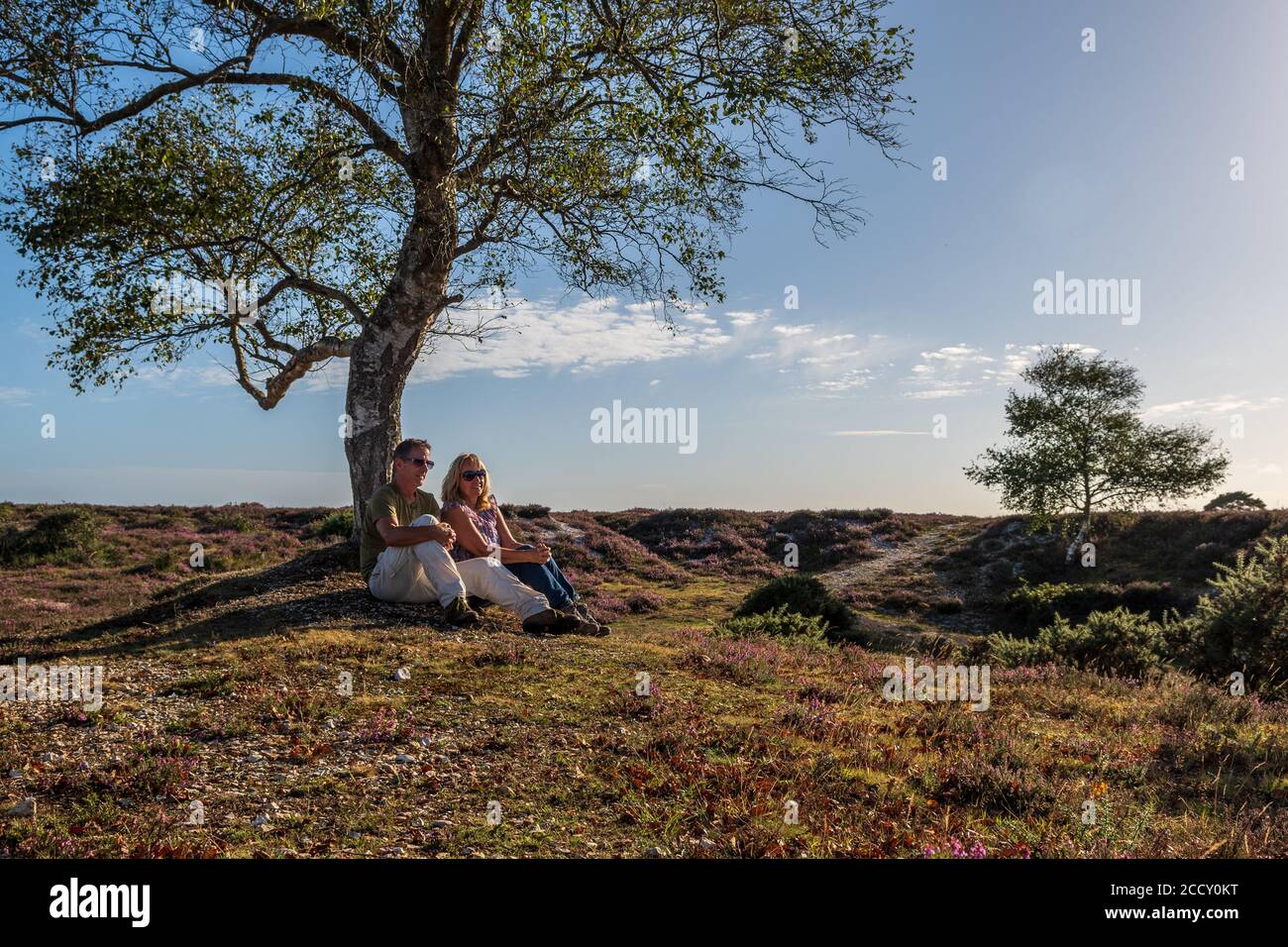 Sitting under a tree hi-res stock photography and images - Alamy
