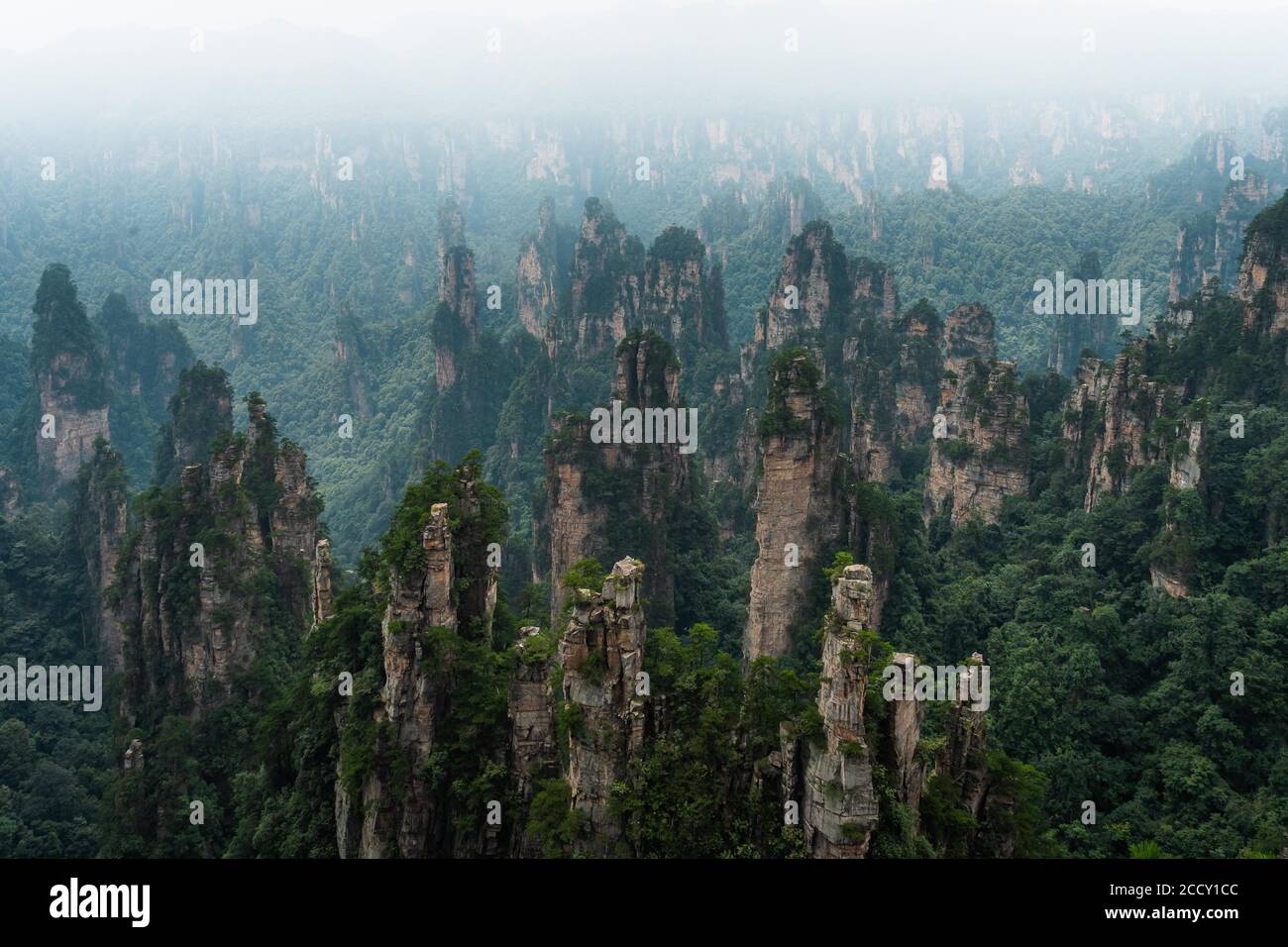 Avatar Mountains in fog, Zhangjiajie National Park, China Stock Photo ...