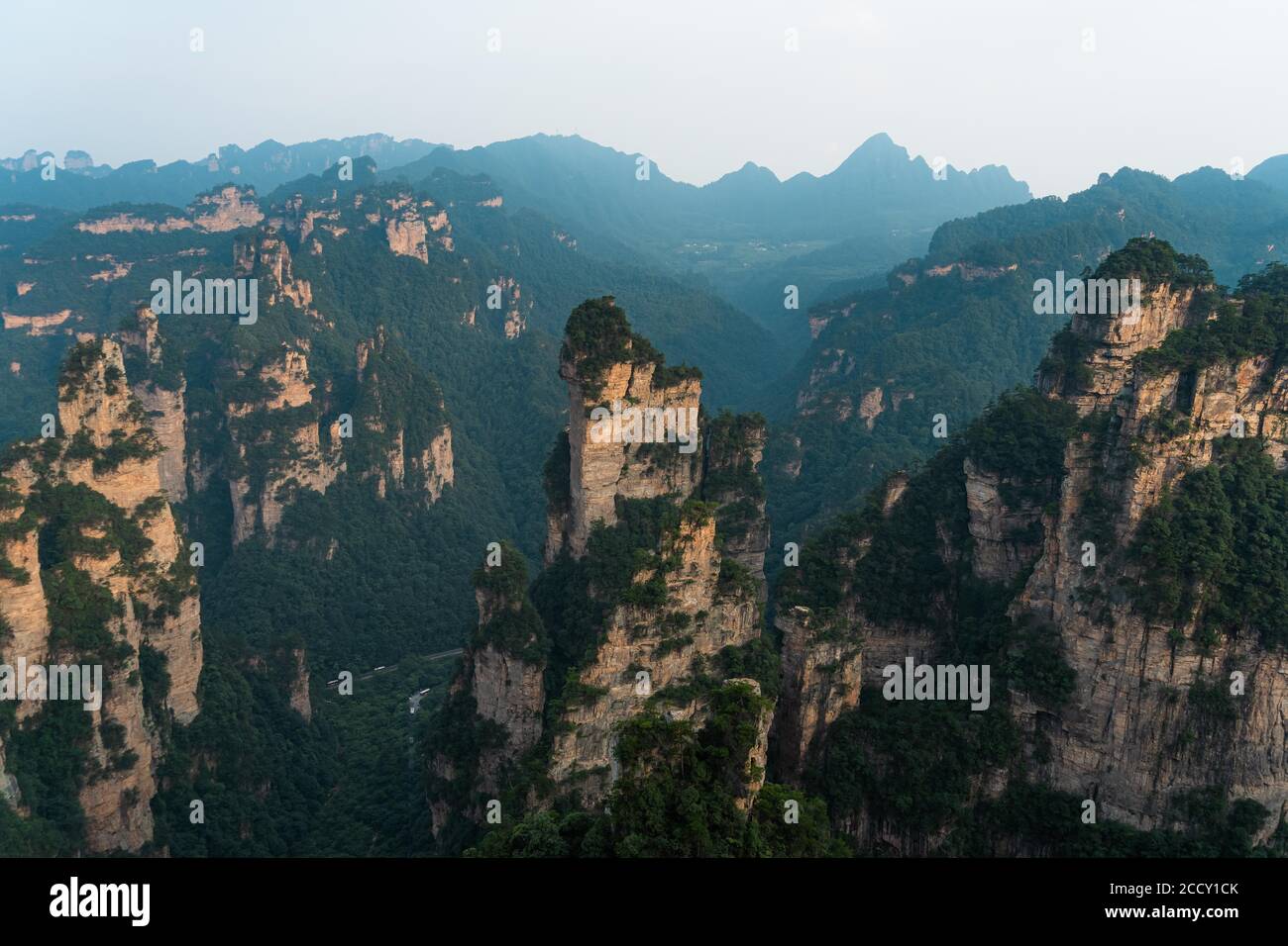 Avatar Mountains in fog, Zhangjiajie National Park, China Stock Photo ...