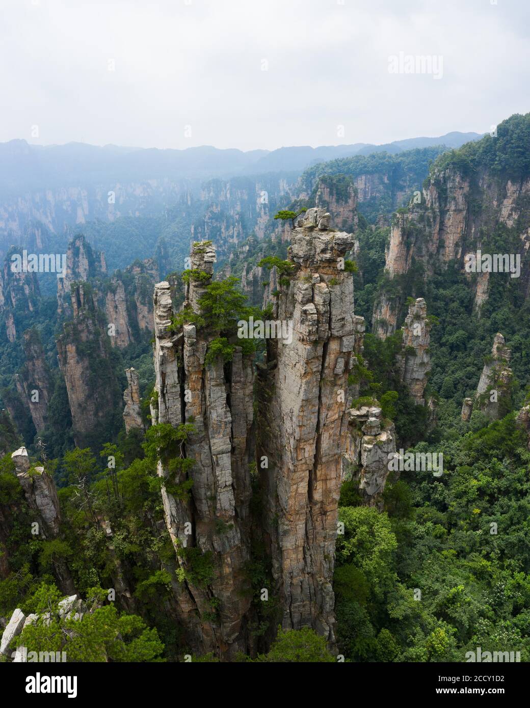 Avatar Mountains in fog, Zhangjiajie National Park, China Stock Photo ...